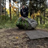 Bresemann Forest Trail, Washington - 326 Reviews, Map | AllTrails