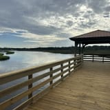 Dutton Island I Preserve Trail, Florida - 187 Reviews, Map | AllTrails