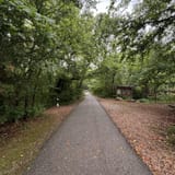 Tanyard Perimeter Loop, Arkansas - 3,081 Reviews, Map | AllTrails