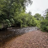 Tanyard Perimeter Loop, Arkansas - 3,081 Reviews, Map | AllTrails