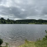 Fernworthy Reservoir Circular, Devon, England - 72 Reviews, Map | AllTrails