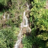 Gorman Falls Trail, Texas - 1,160 Reviews, Map | AllTrails