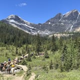 Skoki Loop Backpacking Trail, Alberta, Canada - 354 Reviews, Map ...