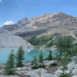 Skoki Loop Backpacking Trail, Alberta, Canada - 354 Reviews, Map ...