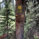 Skoki Loop Backpacking Trail, Alberta, Canada - 354 Reviews, Map ...