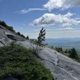 Mount Cardigan Loop Trail, New Hampshire - 2,254 Reviews, Map | AllTrails