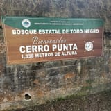 Cerro de Punta, Central Region, Puerto Rico - 129 Reviews, Map | AllTrails