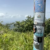 Cerro de Punta, Central Region, Puerto Rico - 129 Reviews, Map | AllTrails
