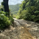 Cerro de Punta, Central Region, Puerto Rico - 129 Reviews, Map | AllTrails