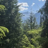 Loop Brook Trail, British Columbia, Canada - 251 Reviews, Map | AllTrails