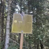 Loop Brook Trail, British Columbia, Canada - 251 Reviews, Map | AllTrails