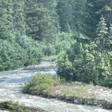 Loop Brook Trail, British Columbia, Canada - 251 Reviews, Map | AllTrails