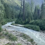 Loop Brook Trail, British Columbia, Canada - 251 Reviews, Map | AllTrails