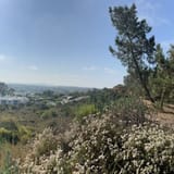 Encinitas Ranch Trail, California - 859 Reviews, Map | AllTrails