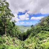 Manoa Cliff Trail, Oahu, Hawaii - 803 Reviews, Map | AllTrails