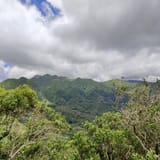 Manoa Cliff Trail, Oahu, Hawaii - 803 Reviews, Map | AllTrails