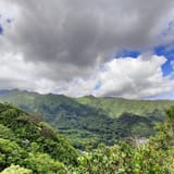 Manoa Cliff Trail, Oahu, Hawaii - 803 Reviews, Map | AllTrails