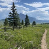 Lower Loop Trail, Colorado - 1,208 Reviews, Map | AllTrails
