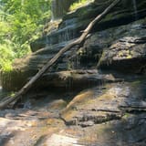 Yellow Branch Falls Trail, South Carolina - 2,856 Reviews, Map | AllTrails