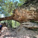 Princess Arch Trail, Kentucky - 1,440 Reviews, Map | AllTrails