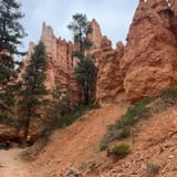 Navajo Loop Trail, Utah - 4,751 Reviews, Map | AllTrails