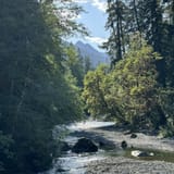 Staircase Rapids Loop, Washington - 2,766 Reviews, Map | AllTrails