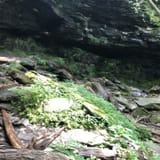 Jacoby Falls Trail, Pennsylvania - 676 Reviews, Map | AllTrails