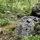 Lewis Spring Falls Trail, Virginia - 1,565 Reviews, Map | AllTrails