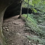 Low Gap Trail , Indiana - 1,445 Reviews, Map | AllTrails