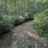 Low Gap Trail , Indiana - 1,445 Reviews, Map | AllTrails