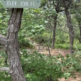 Bear Mountain Trail, Connecticut - 3,484 Reviews, Map | AllTrails