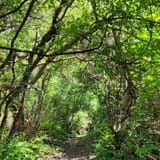 Edgecliff Loop, New York - 327 Reviews, Map | AllTrails