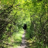 Edgecliff Loop, New York - 319 Reviews, Map | AllTrails