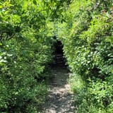 Edgecliff Loop, New York - 319 Reviews, Map | AllTrails