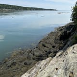 Devil’s Back Trail, Maine - 359 Reviews, Map | AllTrails