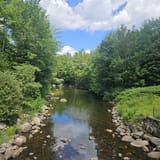 Chittenden Reservoir Loop, Vermont - 46 Reviews, Map | AllTrails