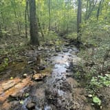 Hideout Hollow Trail, Arkansas - 582 Reviews, Map | AllTrails