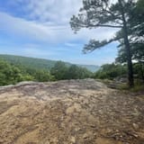 Hideout Hollow Trail, Arkansas - 578 Reviews, Map | AllTrails