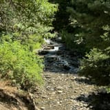 Adams Canyon Trail, Utah - 7,667 Reviews, Map | AllTrails