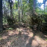 Patton Cave via Grubb Ridge and Hayes Trail, Indiana - 717 Reviews, Map ...