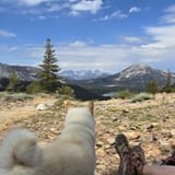 Heart Lake Trail, California - 594 Reviews, Map | AllTrails