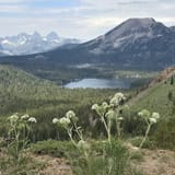 Heart Lake Trail, California - 594 Reviews, Map | AllTrails