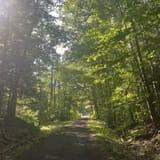 Northern Rail Trail, New Hampshire - 505 Reviews, Map | AllTrails