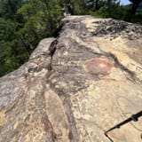 Sky Bridge Trail, Kentucky - 2,636 Reviews, Map | AllTrails