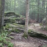 Slippery Rock Gorge Trail, Pennsylvania - 1,425 Reviews, Map | AllTrails