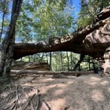 Princess Arch Trail, Kentucky - 1,463 Reviews, Map | AllTrails