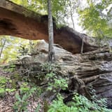 Princess Arch Trail, Kentucky - 1,407 Reviews, Map | AllTrails
