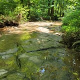 Winding Stairs Loop, Tennessee - 795 Reviews, Map | AllTrails