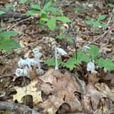 Ryan Park Loop, Rhode Island - 422 Reviews, Map | AllTrails