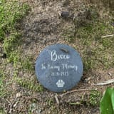 Ryan Park Loop, Rhode Island - 422 Reviews, Map | AllTrails